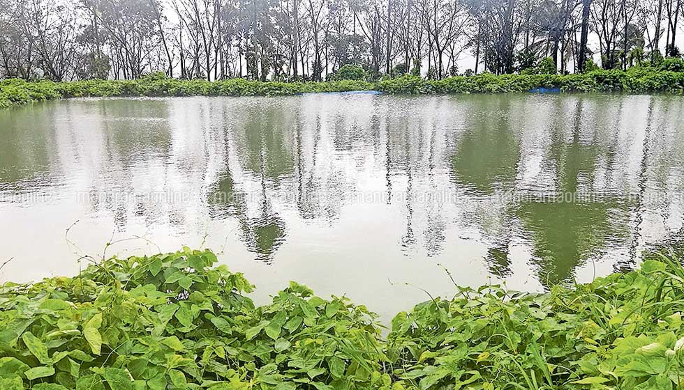 Monsoon Rain Special : Beauty of Rain in Kerala | Photos of Rain ...